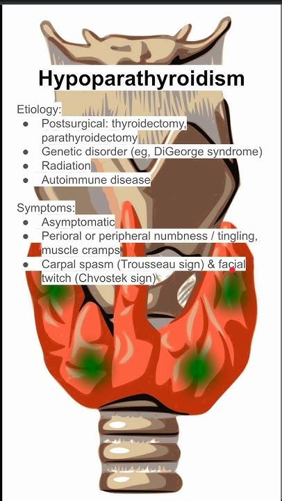 Hypoparathyroidism Youtube