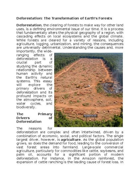 Deforestation Physical Geography Worksheet Sub Plan Classwork Homework