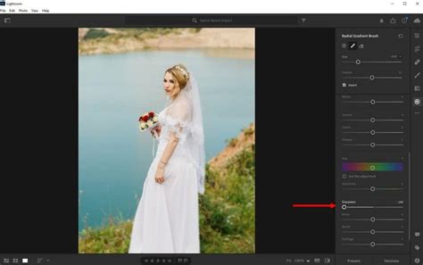 How To Blur A Background In Lightroom Step By Step Guide