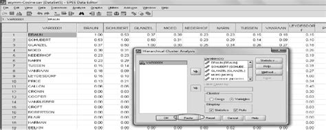 Data Editor Window Of Hierarchical Clustering Module Of Spss