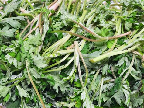 건강한 간식 쌀 불리기 맵쌀가루 만들어 향긋한 쑥요리 쑥전 쑥부침개 만드는법 네이버 블로그