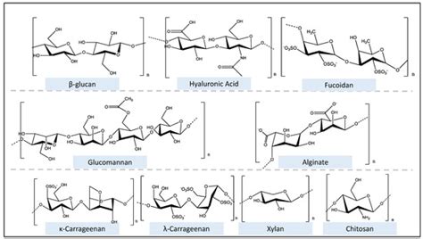Polysaccharides—naturally Occurring Immune Modulators