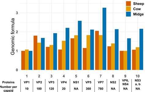 Bluetongue Virus Graph