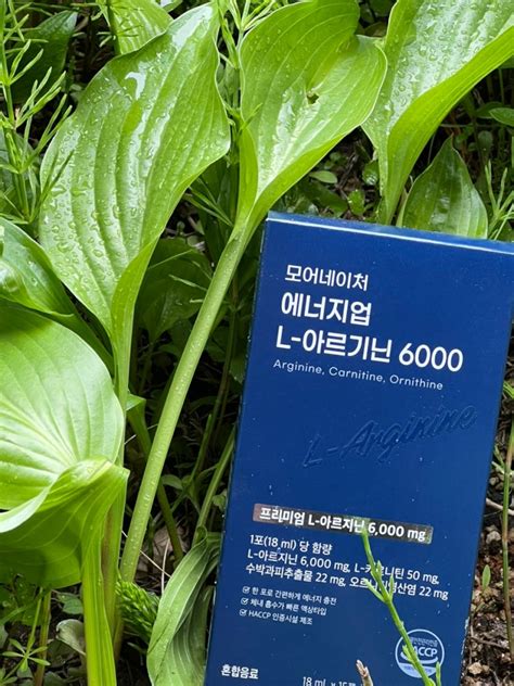 여자아르기닌추천 아르기닌이란 모어네이처 아르기닌 내돈내산 복용후기 네이버 블로그