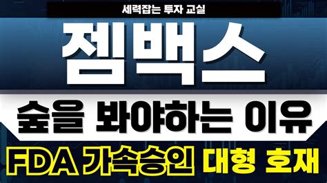 젬백스주가 주식 치료제가 없는 희귀질환 엄청난 변동성 오히려 이용하는 방법 젬백스주가 젬백스 젬백스주가전망 젬백스목표가 Youtube