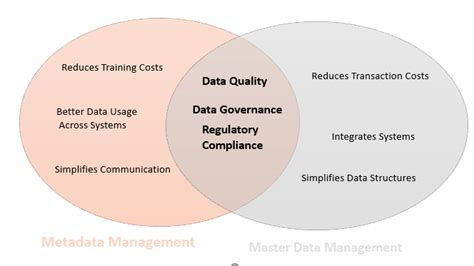 Metadata Management Vs Master Data Management DATAVERSITY