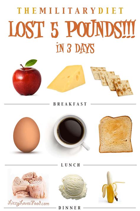 The Results Of The Military Diet Lizzy Loves Food