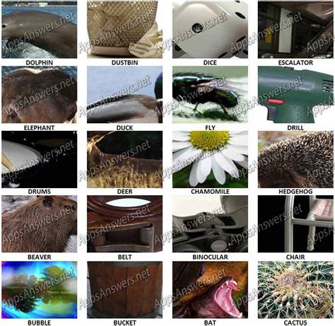 100 Pix Quiz CloseUps A K Level 41 Level 60 Answers Apps Answers Net