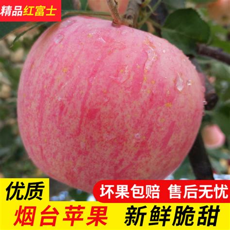 2024正宗山东烟台苹果栖霞红富士新鲜水果5斤一级好吃脆甜当季果 虎窝淘