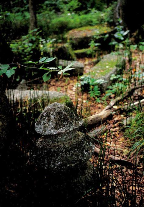 青峰寺舍利塔群 遗产数据库