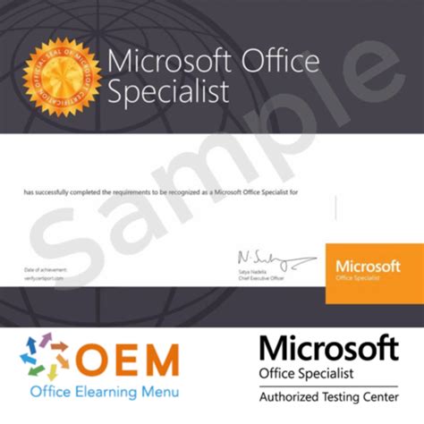 MOS Exam MO 201 Microsoft Excel 2019 Expert Online OEM