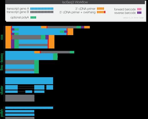 Pacbio 三代全长转录组数据分析流程 Iso Seq 3 组学大讲堂问答社区