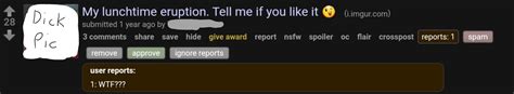Reading The Reports Is The Only Good Part Of Cleaning Out An Old Porn Sub R BestOfReports