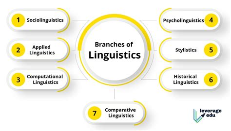 Branches Of Linguistics 01 Leverage Edu