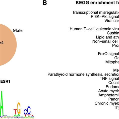 Pdf Characterising Sex Differences Of Autosomal Dna Methylation In