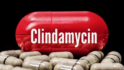รูปภาพclindamycin เลือกดูภาพถ่ายสต็อก เวกเตอร์ และวิดีโอ229 Adobe Stock