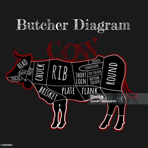 벡터 디자인 가이드 개념 정육점 차트 검은 배경에 쇠고기 소 고기 다이어그램의 컷 라벨에 대한 스톡 벡터 아트 및 기타 이미지