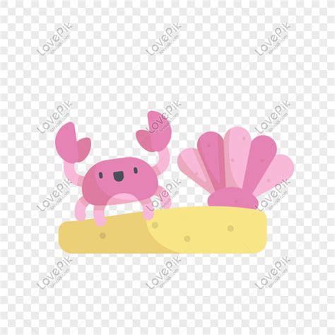 바다 해변 해변 바다 생물 Png 일러스트 무료 다운로드 Lovepik