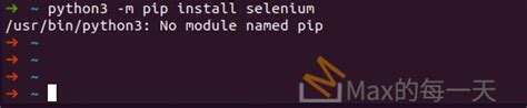 Ubuntu No Module Named Pipinternal