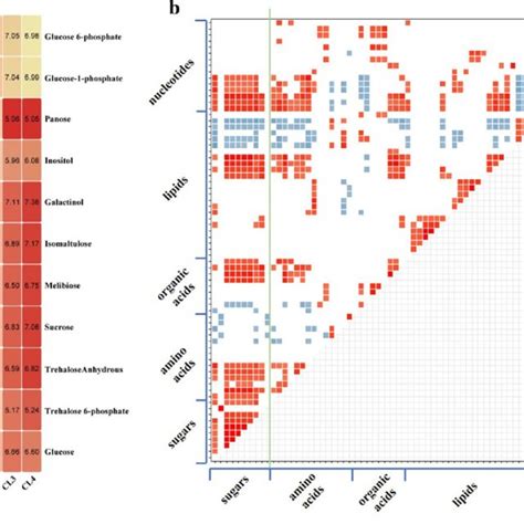 Hierarchical Clustering Of Sugars And Correlation Matrix Of The Main Download Scientific