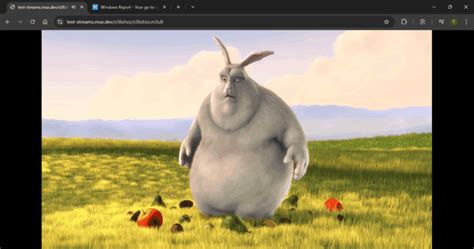 Css Not Loading In Chrome How To Force It To Work Css Not Loading In Chrome How To Force It To Work