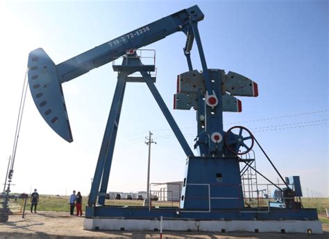 Петро чайна дачин тамсаг ХХК нь химийн хорт болон аюултай бодис ашигласан нь тогтоогджээ