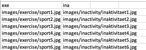 Location Randomization Builder Psychopy