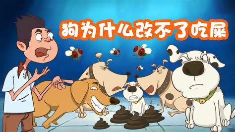 冷知识狗为什么改不了吃屎别再冤枉狗了还有这些原因 高清1080P在线观看平台 腾讯视频