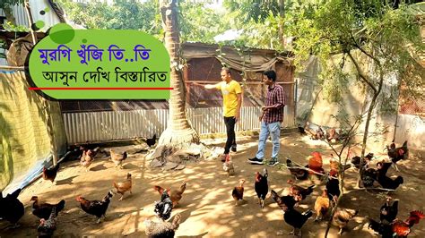 মুরগি খুজি তিতি আসুন দেখি বর্তমান পরিস্থিতি দেশি মুরগির খামার Murgi Palan কৃষি ঘর Youtube