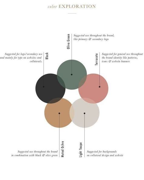 The Four Circles Are Labeled In Different Colors