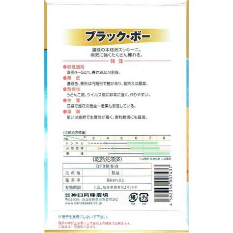 神田育種農場 ズッキーニ ブラック・ボー 内容量：約100粒 Ski12040092 日光種苗ヤフー店 通販 Yahoo