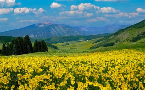 Exploring The Roots Of Colorados Culture Capitals
