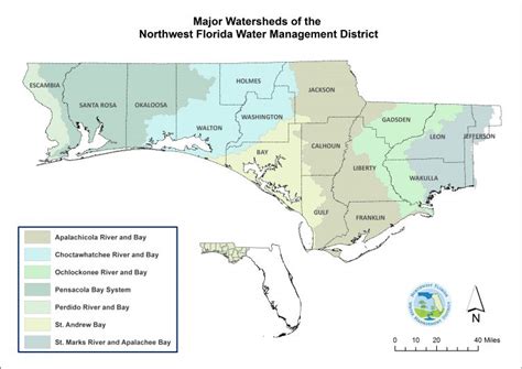 Wetland Mitigation Faq Common Questions Answered Mbg Florida
