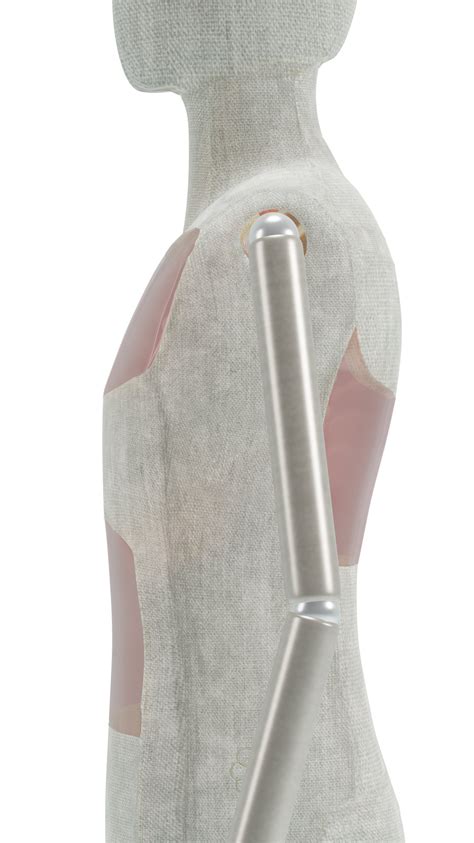 Thoracic Spine Physiological Curvature