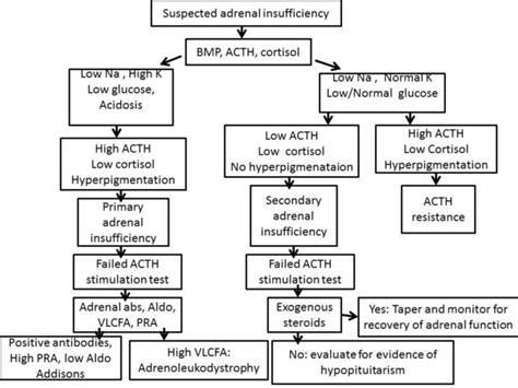 Adrenal Insufficiency Cancer Therapy Advisor