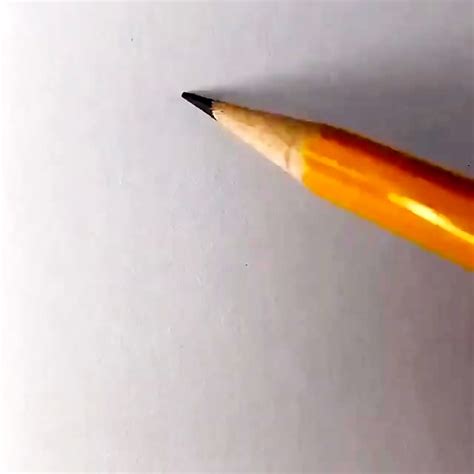 نقاشی پرنده