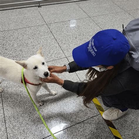 이효리보다 시선을 끄는 넌 대체 누구니 이효리 파격헤어변신