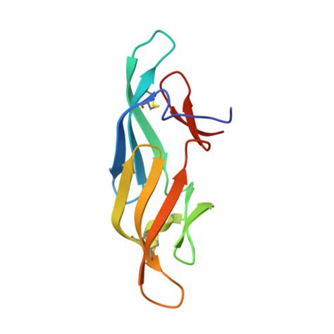 Rcsb Pdb 1n02 Solution Structure Of A Circular Permuted Variant Of