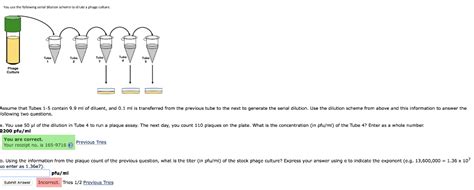 Solved You Use The Following Serial Dilution Scheme To
