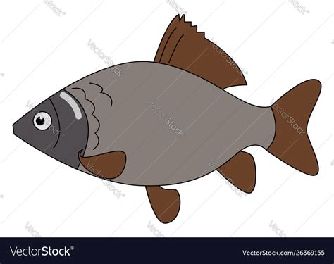 Carassius Fish On White Background Royalty Free Vector Image
