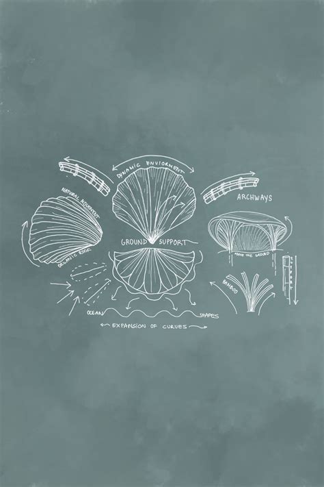 Sea Shell Lobby The Shell 🐚 🌊