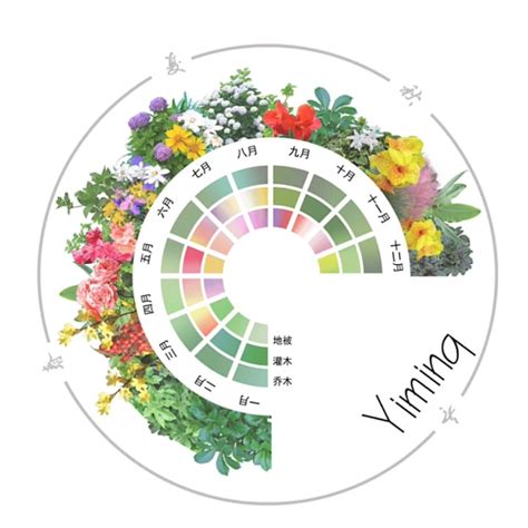 Design｜植物配置、季相分析图 某南方公园内三处景观节点的植物季相分析 前期： 前期分析、物种选择、检索花期花色、素材积累。 分析表现