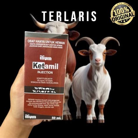 Jual Ketamil Ilium Injection Asli Original Untuk Hewan Shopee Indonesia