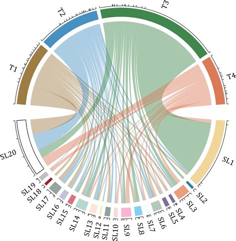 These Pretty Chord Diagrams Were All Made By Matlab