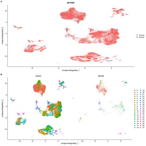 R语言学习笔记：从数据清洗到高级统计学和生物信息学 多个单细胞数据集整合分析（上）