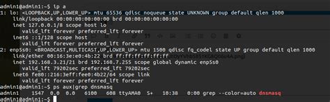 Why Does Lxc List Not Display Ipv4 Network Lxd Linux Containers Forum
