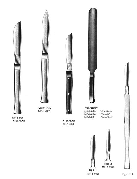 Microscopic Dissecting Buy In Sialkot