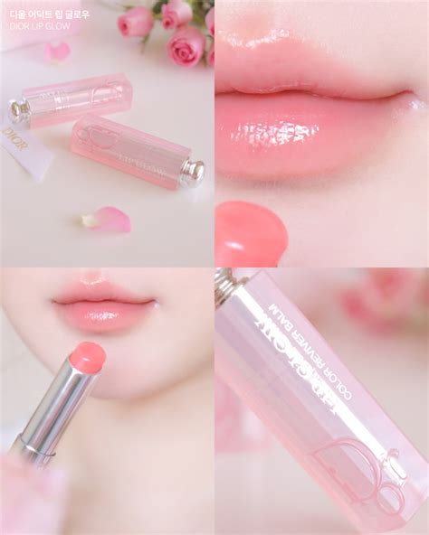 디올 어딕트 립 글로우 New 061 포피 코랄 카카오 선물하기 선출시 립밤 선물 추천 네이버 블로그