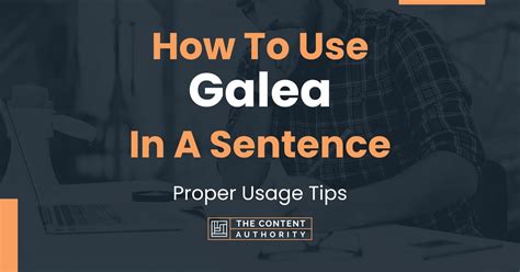 How To Use Galea In A Sentence Proper Usage Tips