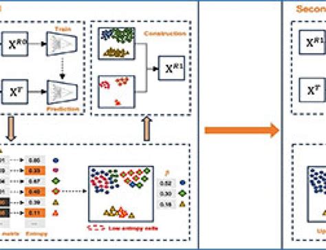 Scwizard A Web Based Automated Tool For Classifying And Annotating Single Cells And Downstream